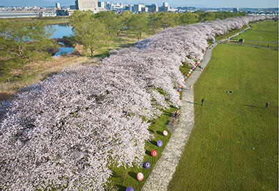 ＜Tenshochi Park＞Tourist spots in Kitakami City, Iwate Prefecture ...
